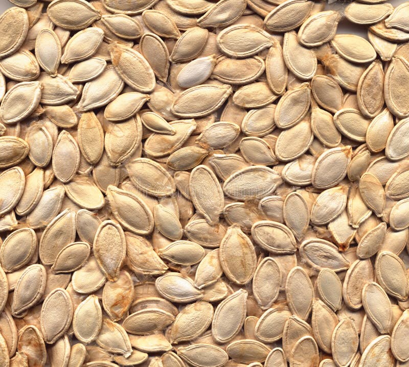 Seeds texture stock image. Image of snack, health, organic - 21961651