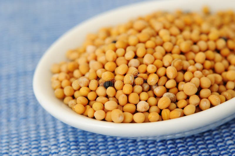 White mustard seeds stock photo. Image of still, seasoning - 16456458