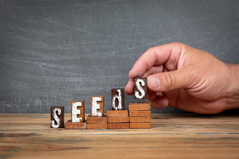 SEEDS. Wooden Letters, Alphabet Blocks on Steps Stock Photo - Image of ...