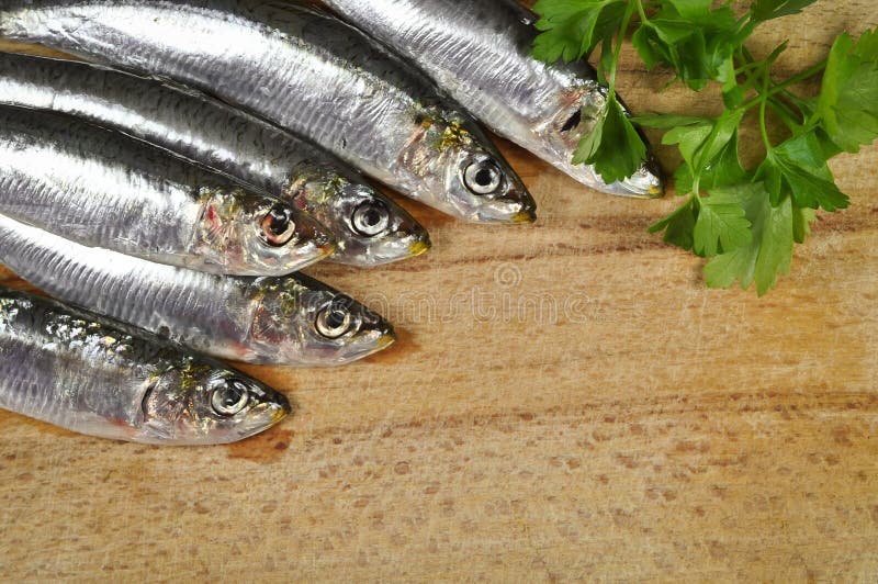 Seefische stockbild. Bild von unterwasser, koralle, blau - 6398139