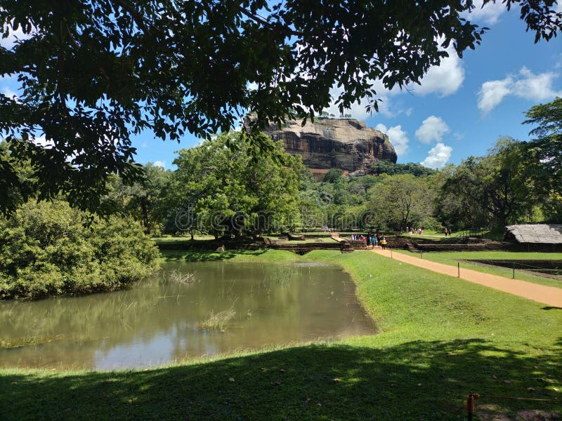 Seegiri stock photo. Image of plant, green, travel, tree - 250828226