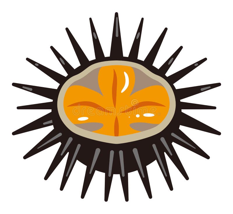 Seeigel mit Open Mund vektor abbildung. Illustration von geöffnet ...