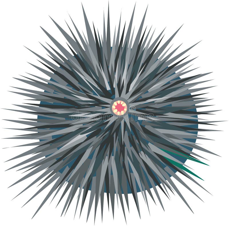 Seeigel mit Open Mund vektor abbildung. Illustration von geöffnet ...