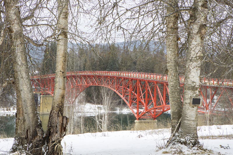 Seeing the Bridge between Trees Stock Image - Image of landscape, scene ...