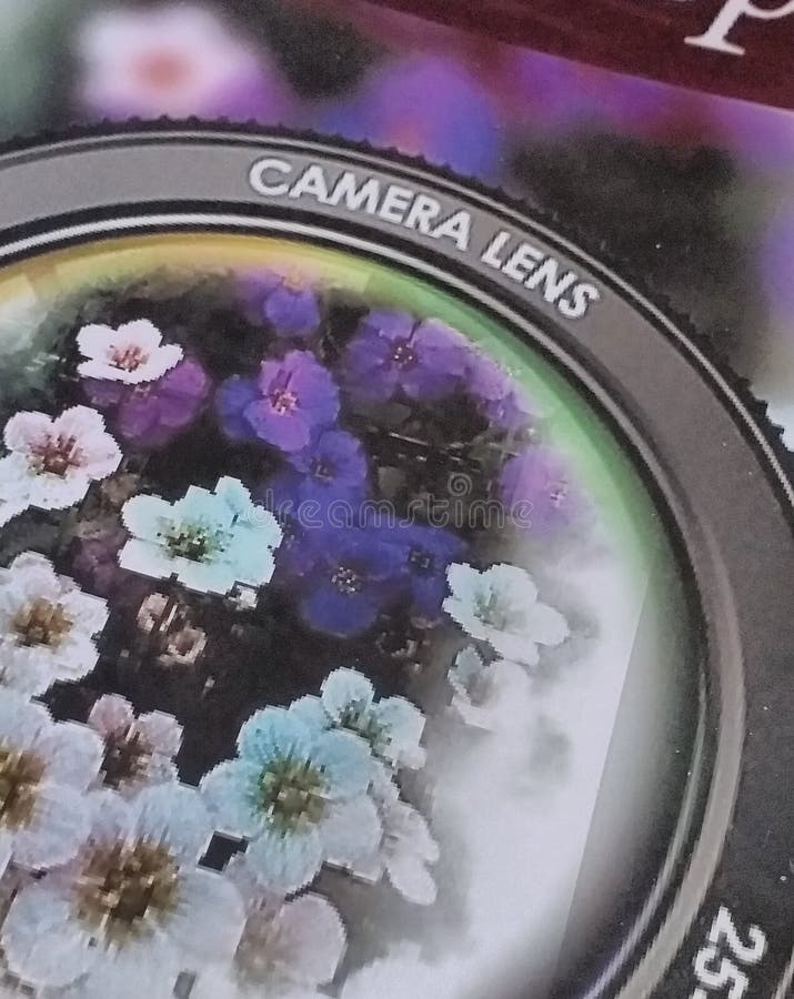 Seeing Flowers through the Lens Stock Photo - Image of glass, lilac ...