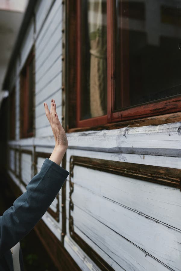 Seeing off stock image. Image of traveling, compartment - 103594645
