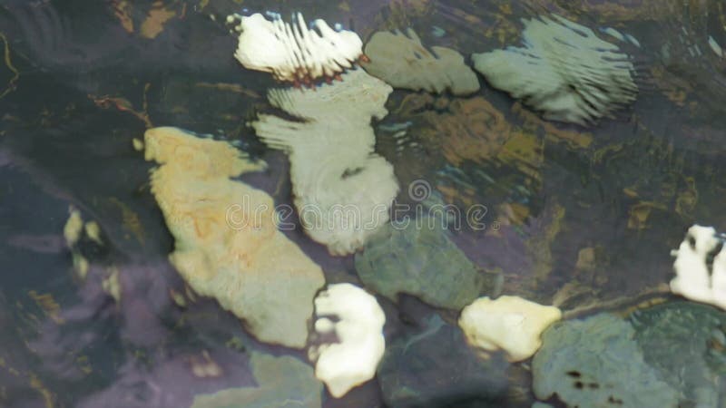 Seeing Pebble through Wobbling Water Surface Stock Footage - Video of ...