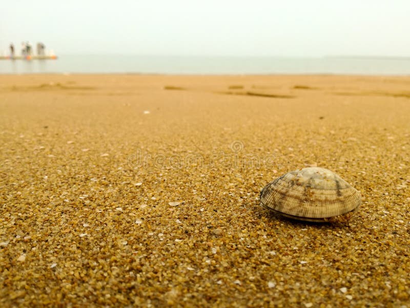 Seeing the Small stock image. Image of outdoor, perfect - 109032871