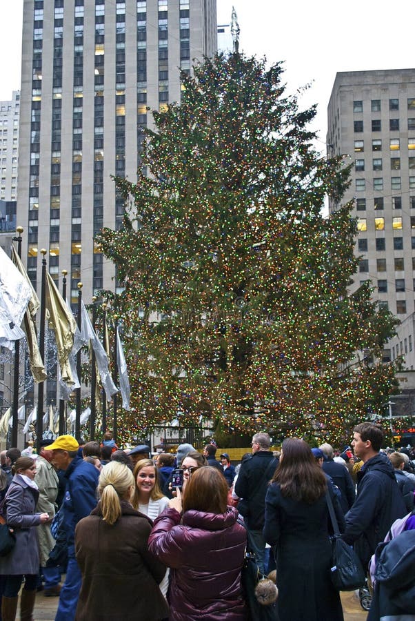 Seeing the Tree editorial stock image. Image of christmas - 25203024