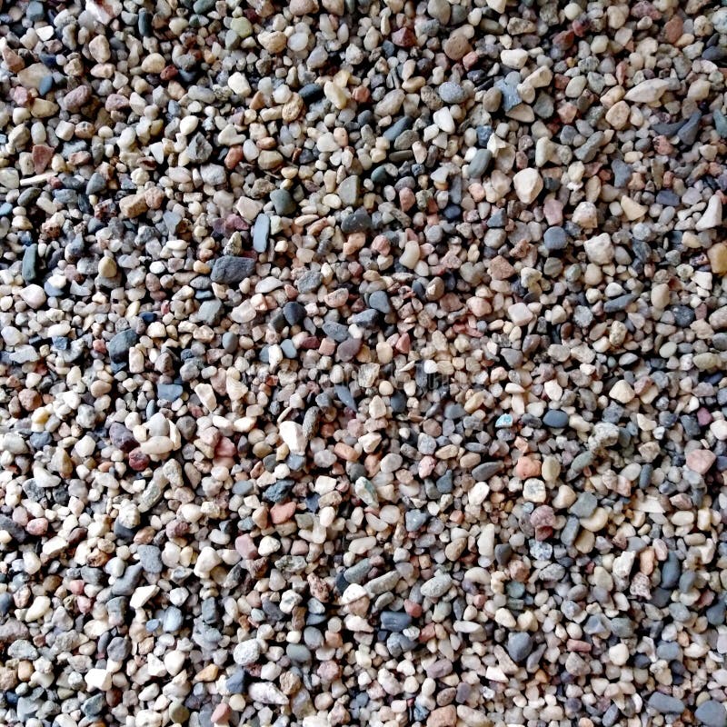 Seekies aller Farben stockfoto. Bild von stein, farben - 219929642