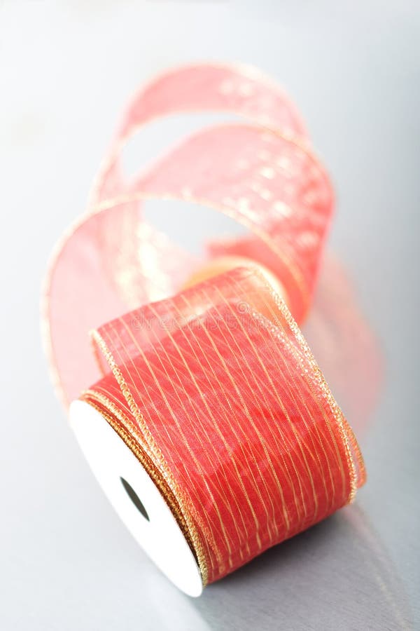 Seeking for the Present stock image. Image of present - 11882473