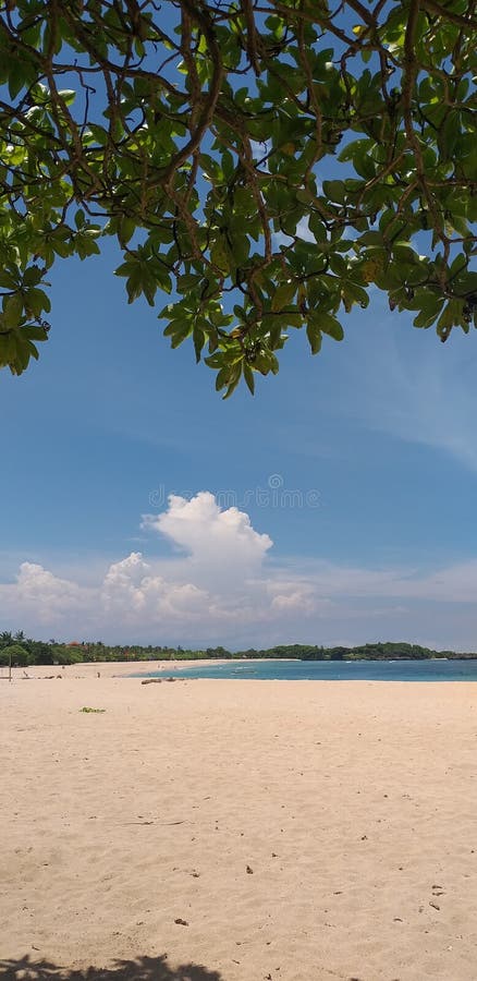 Seeking Shade Under the Tree Stock Image - Image of beach, white: 262248601