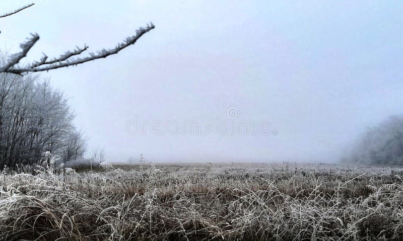 Seemingly Icy and Cold Desolation but in Fact Icy Fields and Grass ...