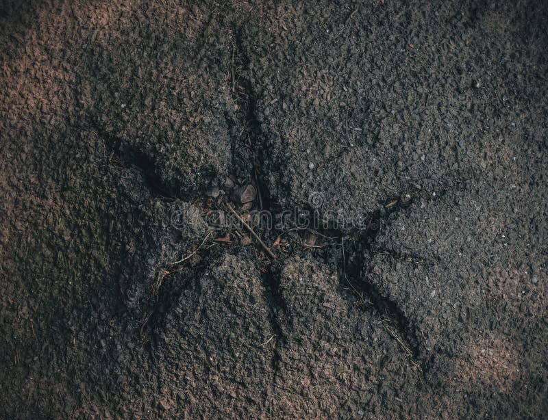 It Seems Like it S Just a Split in the Ground, but it Looks Incredible ...