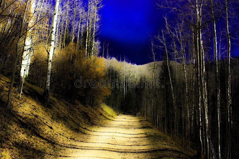 Free Nature (Plants And Trees) pictures, photos & images - Royalty-Free ...