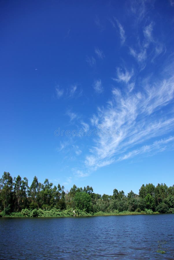 Seen Landscape of the River Stock Photo - Image of bright, relaxing ...