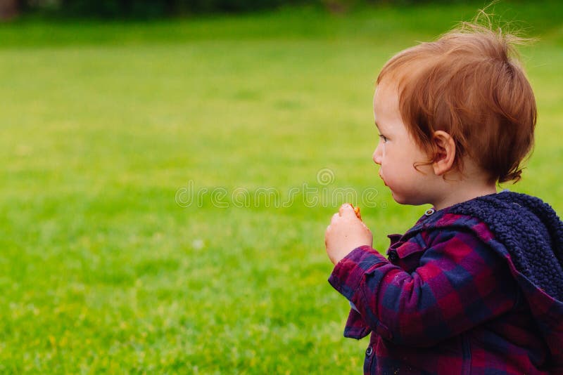 Little Boy Holding a Crisp before Eating it Stock Photo - Image of food ...