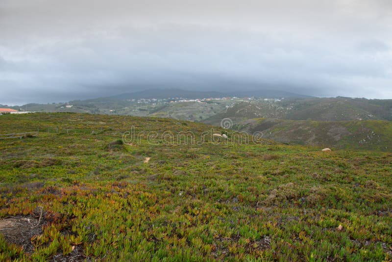 Boca Da Roca in the West of Portugal Stock Image - Image of ocean, roca ...