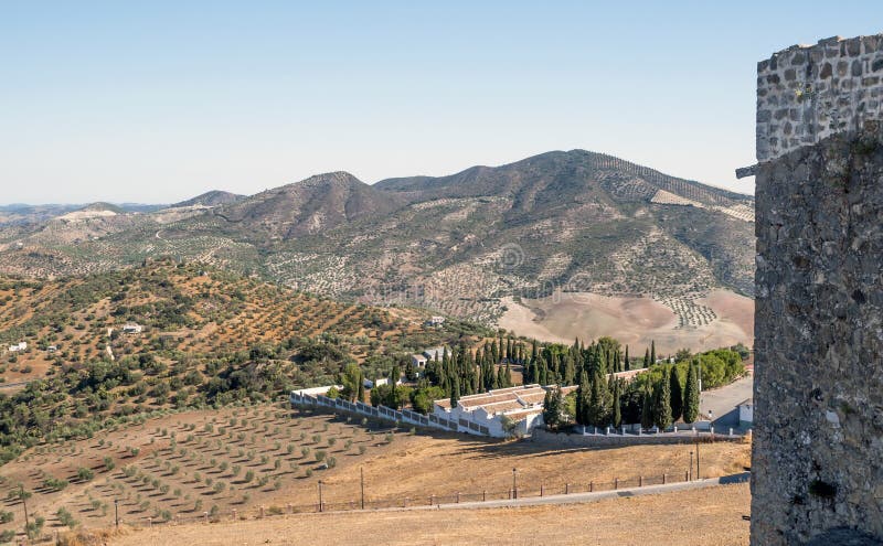 Seeview of olive stock image. Image of spain, grove, travel - 26449507