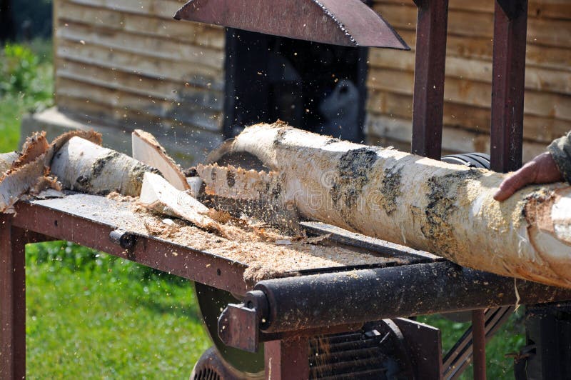 Segare Un Albero Con Una Sega Circolare Fotografia Stock - Immagine di ...