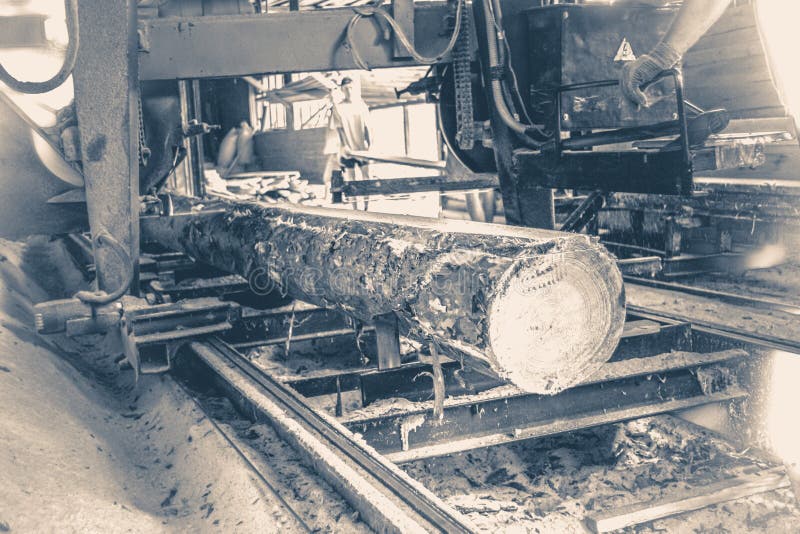 Segheria Il Processo Di Lavorare Collega Le Seghe Della Macchina Della ...