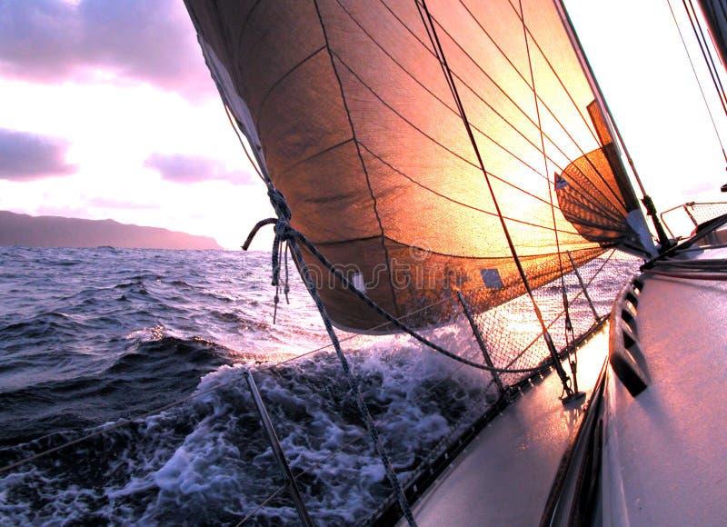 Segla Yachtkatamaransegling I Havet Segelbåt Segling Fotografering för ...