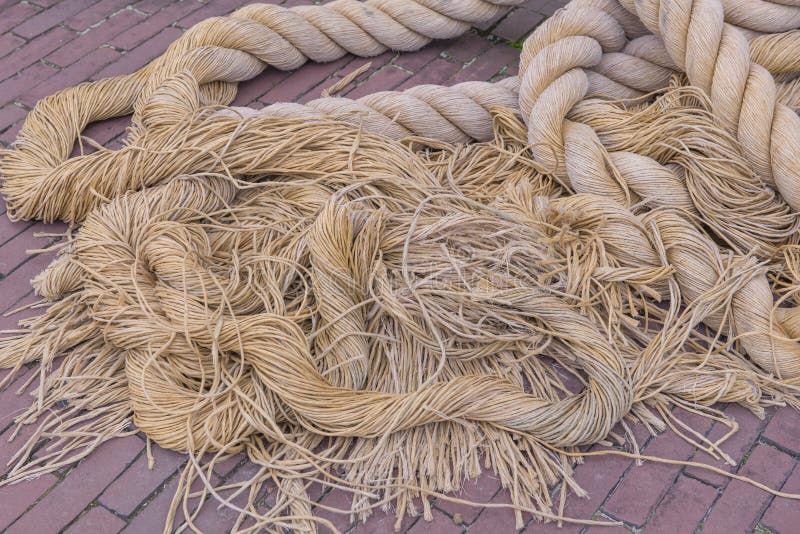 Segments of Raw Old Rope on the Floor Stock Photo - Image of rope ...