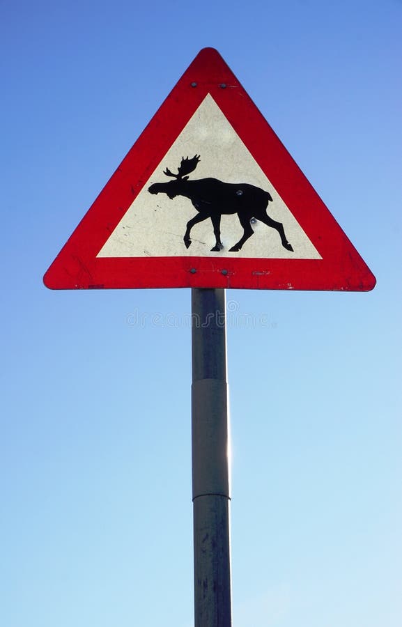 Segnale Stradale Dell'incrocio Delle Alci Immagine Stock - Immagine di ...