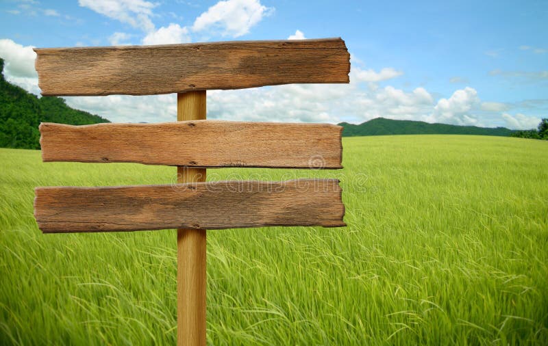 Segno Di Legno Sull'erba Del Campo Fotografia Stock - Immagine di ...