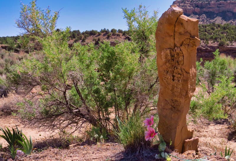 Ghost Town Graveyard in the Utah Desert Stock Photo - Image of north ...
