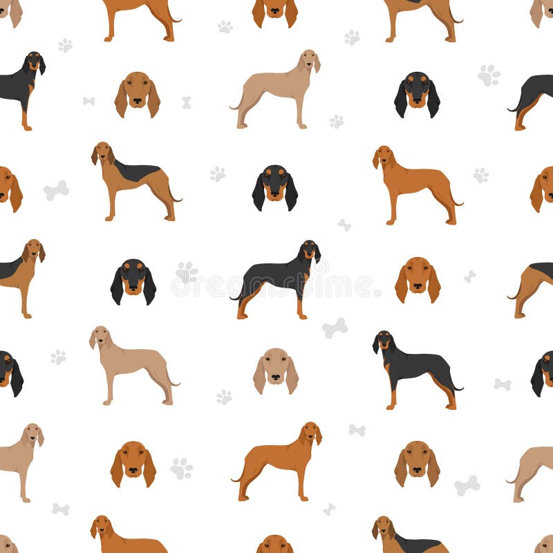 Segugio Italiano Short Haired Seamless Pattern. Different Poses, Coat ...