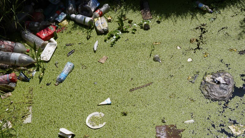 Sehr Verschmutztes Wasser in Einem Kleinen Fluss Redaktionelles ...