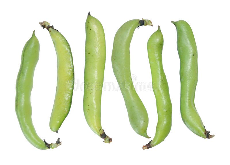 Fave fotografia stock. Immagine di dieta, baccello, organico - 35766130