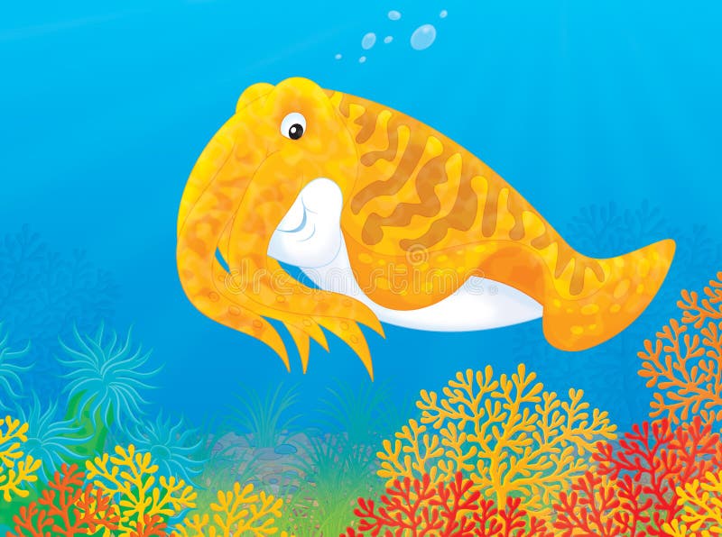 Seiches illustration de vecteur. Illustration du bambanne - 17723163