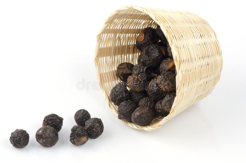 Seifen-Nuss-Baum (Sapindus Rarak a.DC.) Stockbild - Bild von gesund ...