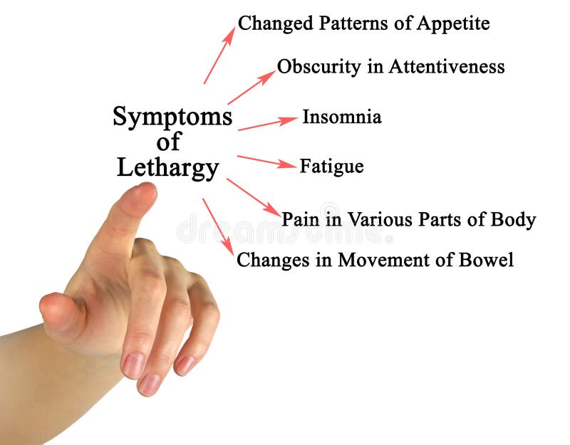 1,133 Letargo Fotos de stock - Fotos libres de regalías de Dreamstime