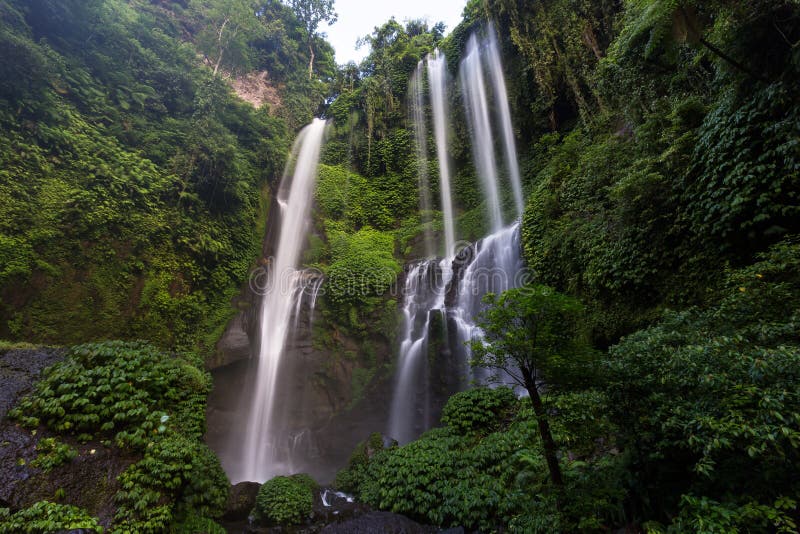 Sekumpul-Wasserfall - Bali-Insel Indonesien Stockbild - Bild von fluß ...