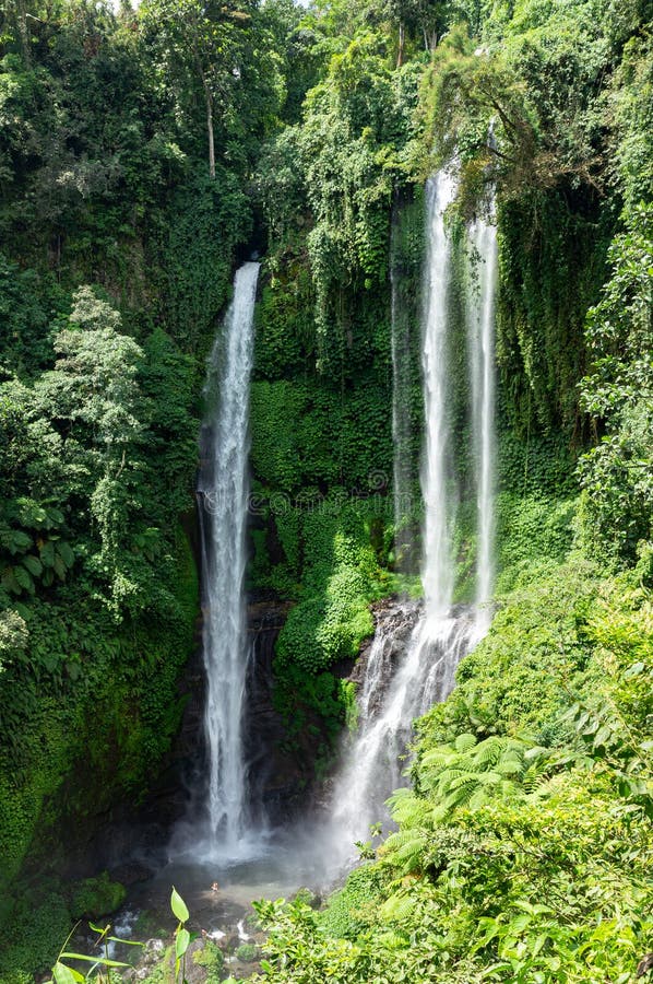 Sekumpul Waterfall. Bali. Indonesia. Stock Photo - Image of bali ...