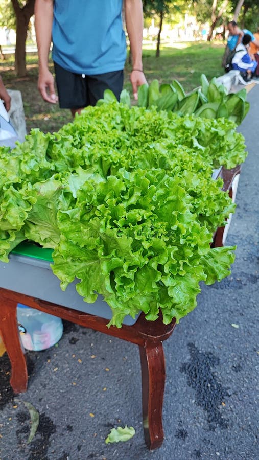 Selada stock image. Image of dish, healthy, vegetable - 277107261