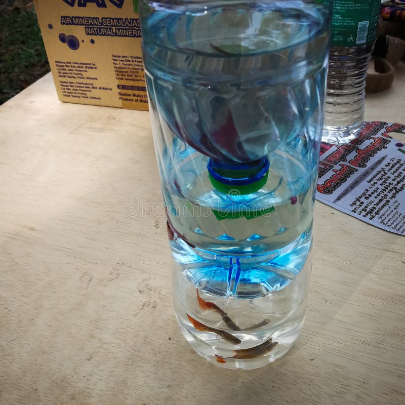 Recycle Bottle Made into a Small Aquarium, Keeping Fish Inside ...
