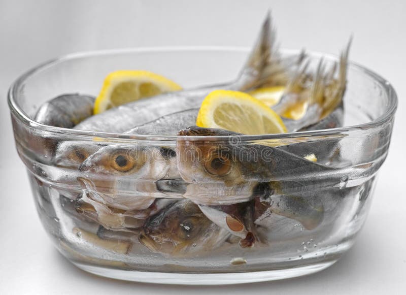 Selar kuning fish stock photo. Image of eating, isolate - 45020780