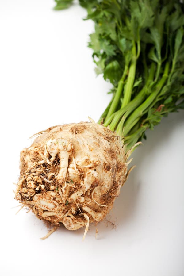 Selderie twee stock foto. Image of blad, naughty, biologie - 28143730