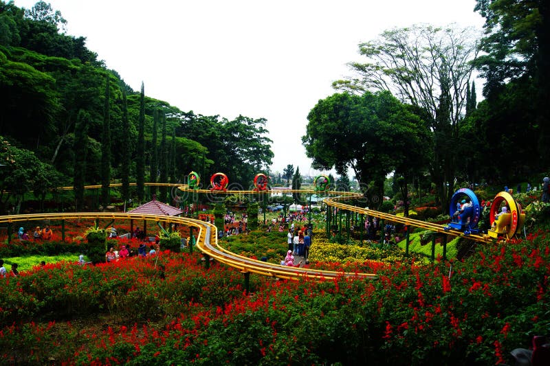 Selecta stock image. Image of timur, bunga, malang, jawa - 66606655