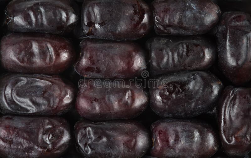 Selected Dried Dates Stacked in Rows. Stock Image - Image of berry ...