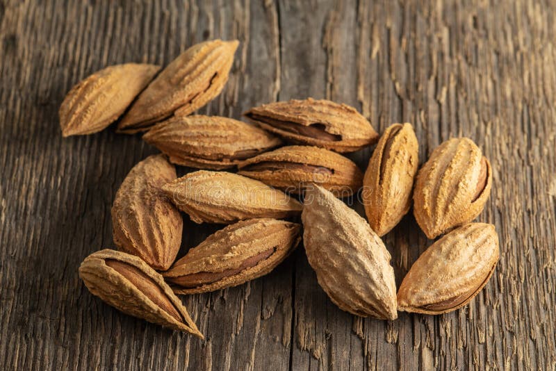 Selected Inshell Almonds on a Background of Rough Wood Texture. Stock ...