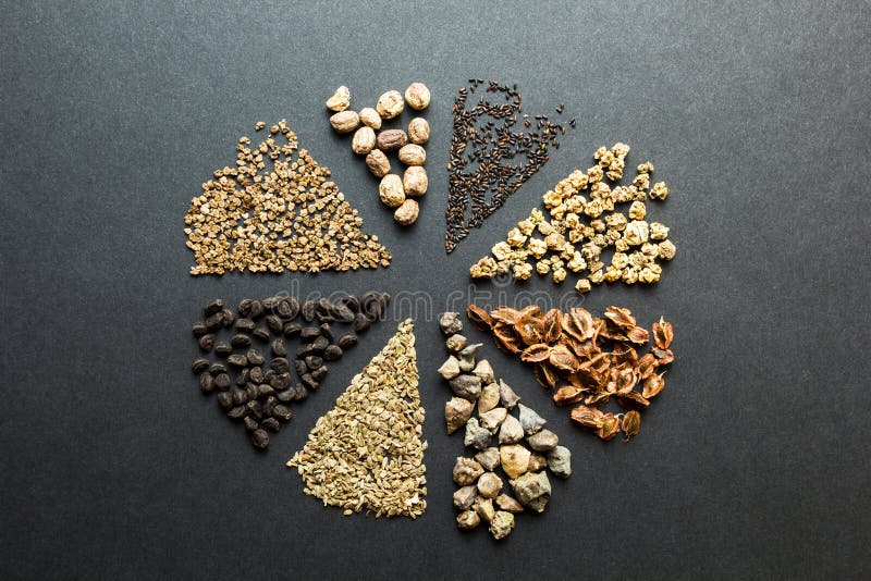 Selected Seeds on a Black Background in the Form of a Circle Stock ...