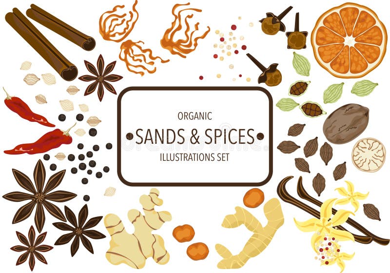 Selected Spices Herbs, and Different Spices in Vintage Style Isolated ...