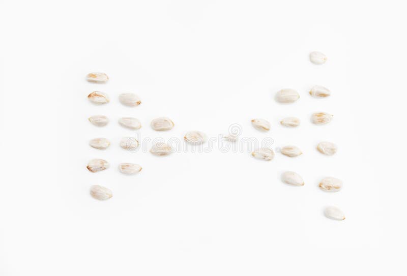 Artocarpus Lacucha, Also Known As Monkey Fruit, or Monkey Jack or ...