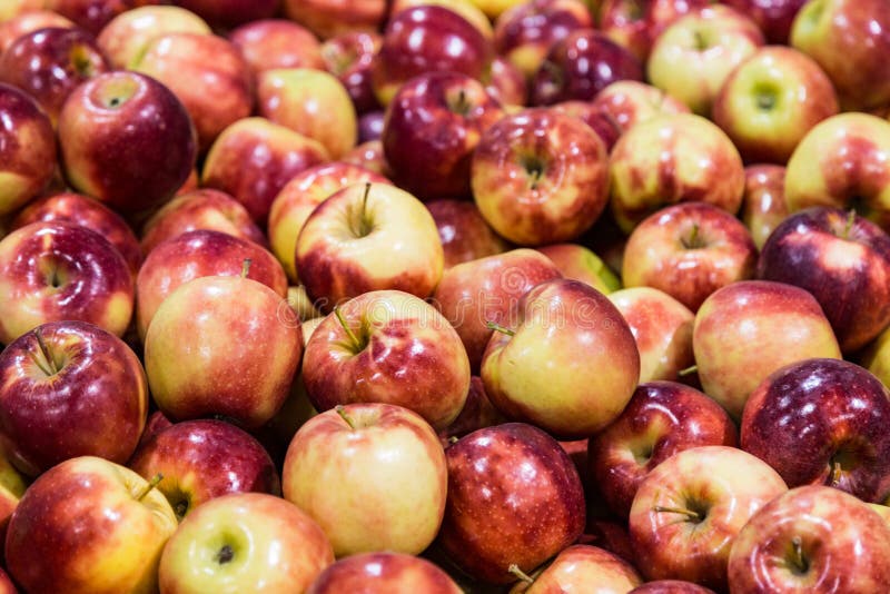 Selection of Apples on Display Stock Photo - Image of produce, fresh ...