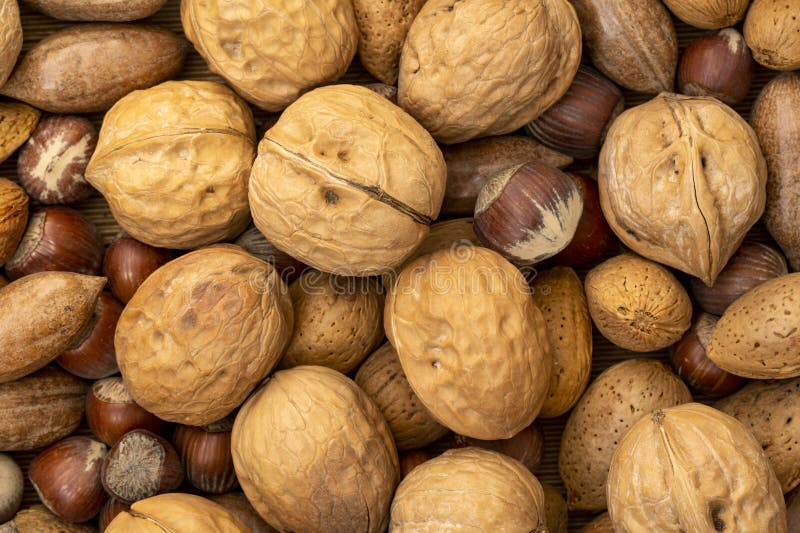 Selection of Different Types of Nuts Stock Image - Image of organic ...